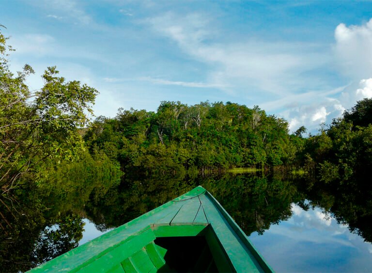 Amazon Premium Lodge - A boutique jungle hotel in the Amazônia