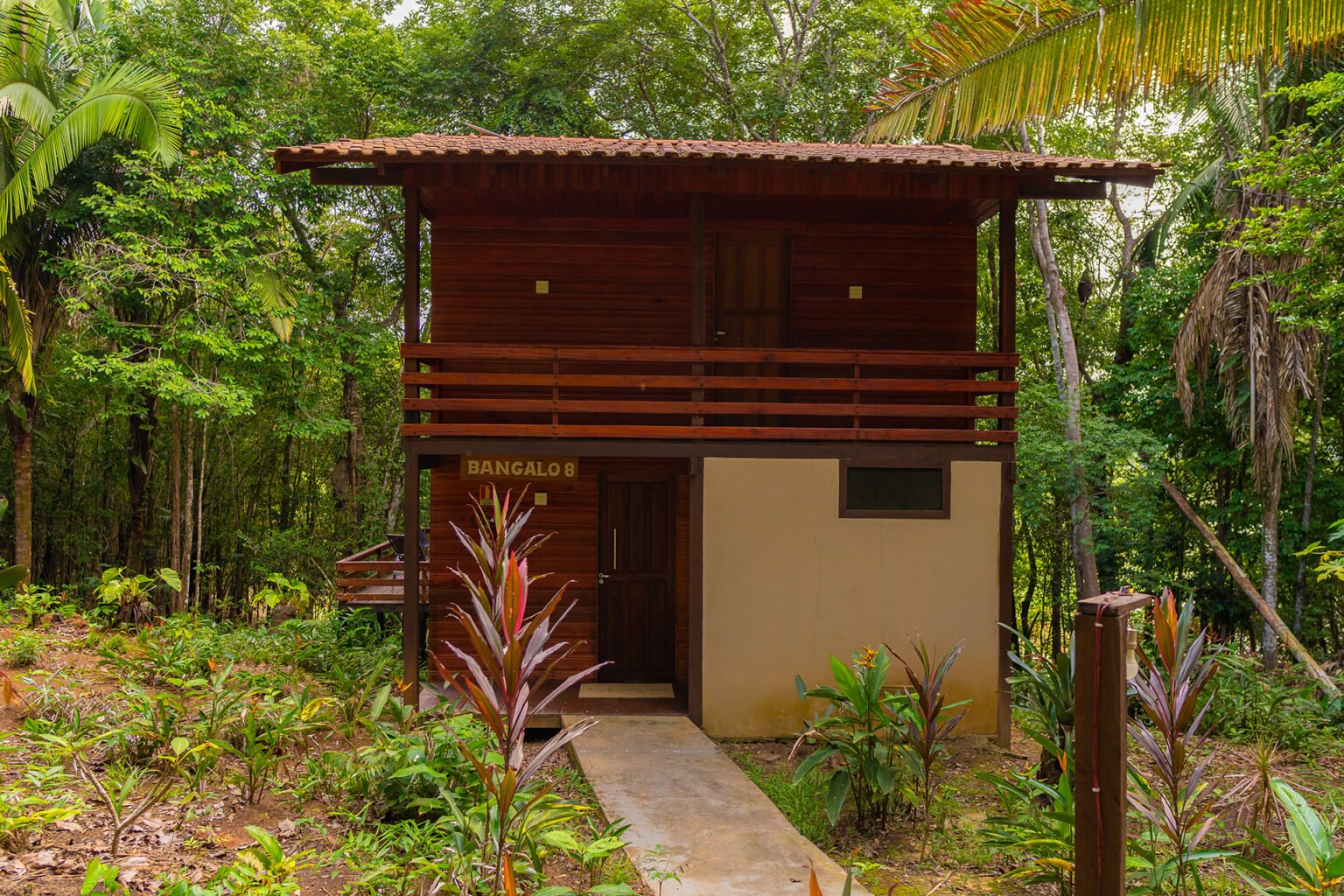 Amazon Premium Lodge - A boutique jungle hotel in the Amazônia